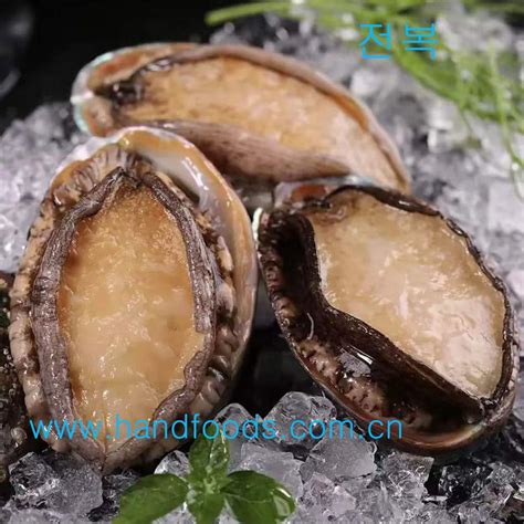 Buy Frozen Cooked Abalone From Hand Foods Dalian Co Ltd China