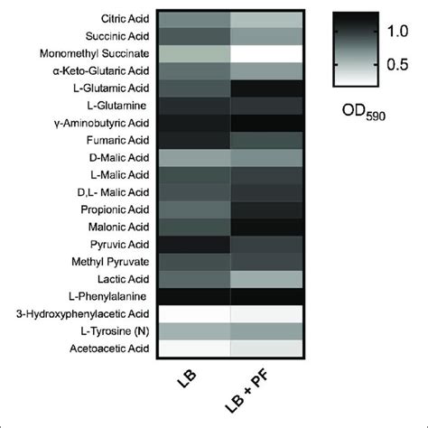 Phenotype Microarray Heat Map Of Phenotype Microarray Demonstrating Download Scientific