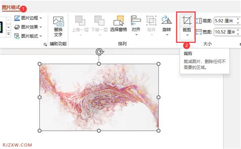 Ppt2021怎么把图片裁剪成圆形 软件自学网