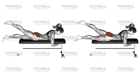 Lying Alternate Hip Extension Exercise Guide Video Techniques