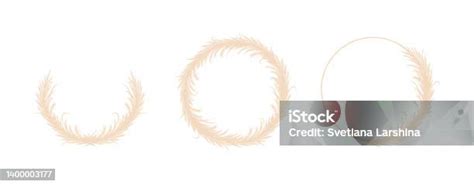 마른 팜파스 잔디가있는 둥근 프레임 보호 스타일의 베이지 색 코르타데리아 화환 흰색 배경에 고립 된 벡터 말린 꽃 초대장 엽서 소셜 미디어를위한 트렌디 한 요소 디자인