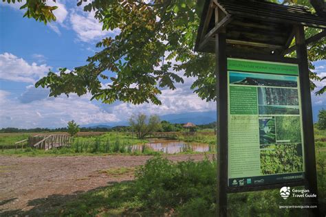 Sphagnum Peatlands Of Ispani Georgian Travel Guide