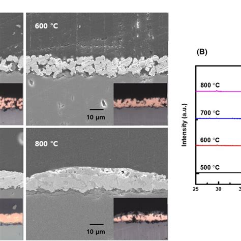 A Scanning Electron Microscopy And Optical Insets Images Showing