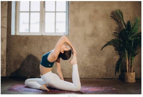 요가 다이어트 효과 살빠지는 동작 쟁기 코브라 비둘기 다운독 요가고양이 자세 아침 운동 추천 네이버 블로그