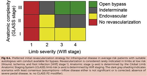 Figure 2 1 From Global Vascular Guidelines On The Management Of Chronic Limb Threatening