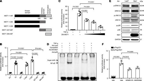 Jci Insight Inhibiting Endothelial Cell Mst1 Attenuates Acute Lung