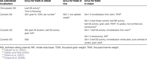 Qtls For Traits Co Localized With Mapped Gs Genes In Leaves Of Grasses