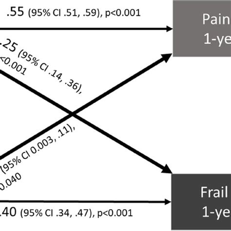 Cross Lagged Path Analysis Model Showing Standardised Regression Download Scientific Diagram