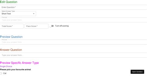 Custom Questions Codesandbox