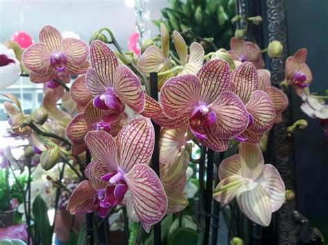 I Love My Notebook Ph Added A New I Love My Notebook Ph