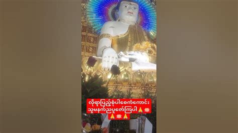 လိုရာပြည့်စုံပါစေကံကောင်းသူမနက်ညပူဇော်ကြပါ🙏🪷🙏🪷🙏 Dhamma Automobile