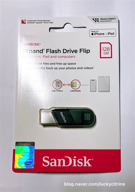아이폰 용량 부족할때 샌디스크 아이폰 Usb 메모리 125gb 추천