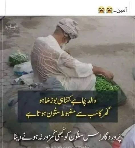 mehak labab posted on linkedin