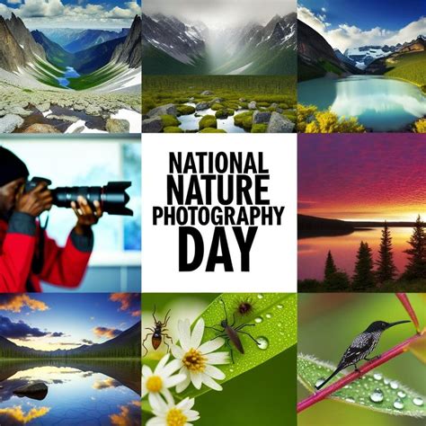 Amoware On Instagram 🌿📸 Happy National Nature Photography Day 🌿📸