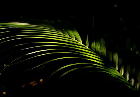 Top 10 Leadership Skills For Success Incline Magazine