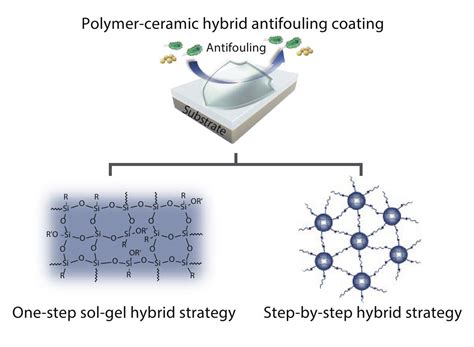 Issue 7 Year 2023 高分子科学（英文版）