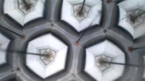 신비한 잠자리의 겹눈 세상 Youtube