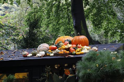 Dont Hibernate Your Garden Shed This Autumn Malvern Garden Buildings