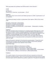 WGU Biochemistry Final Review 3 Pdf DNA Polymerase Can Synthesize New DNA Strands In Which