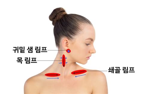 셀프림프마사지 예쁜 라인 만들기 네이버 블로그