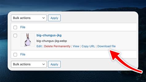 what s new in wordpress 6 2 exciting features and enhancements