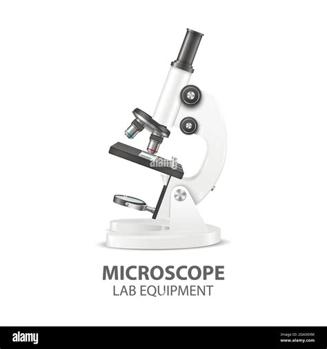Microscope Parts Structure Anatomy Vector 3d Realistic White Laboratory Microscope Isolated On