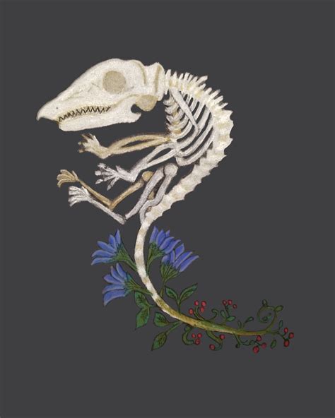 Shrew Skeleton Blooming Shrew Dark Botanical Giclée Art Etsy