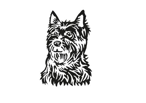 웨스트 하이랜드 화이트 테리어 머리 개 애완 Pixabay의 무료 벡터 그래픽 Pixabay