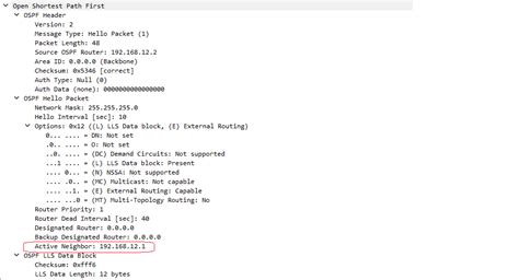 OSPF Hello Packets Deep Dive NETWORK LESSON