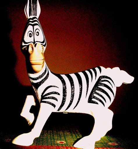 Madagascar Zebra