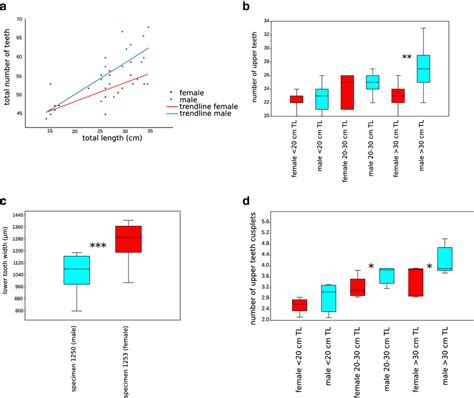 Sexual And Ontogenetic Differences In Tooth Morphology And Meristics P Download Scientific