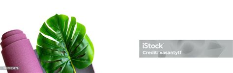 운동 매트와 배너 흰색 고립 된 배경에 야자수 잎 연습 요가 필라테스 또는 여름에 어떤 물리적 운동에 대한 개념 복사 공간 개념에 대한 스톡 사진 및 기타 이미지 Istock