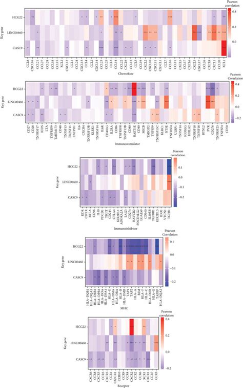 Relationship Between Differentially Expressed Lncrna And Download Scientific Diagram