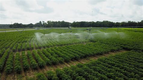 Precision Agriculture Helps Georgia Farmers UGA Research News