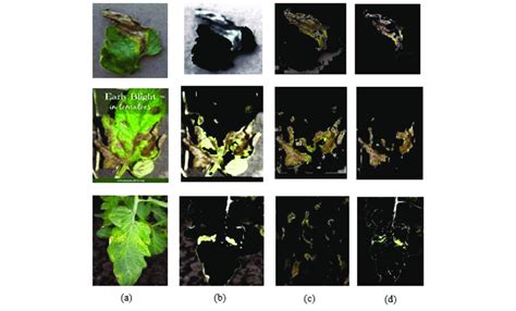 Comparison Of Results A Original Image B Hsv Based Segmentation