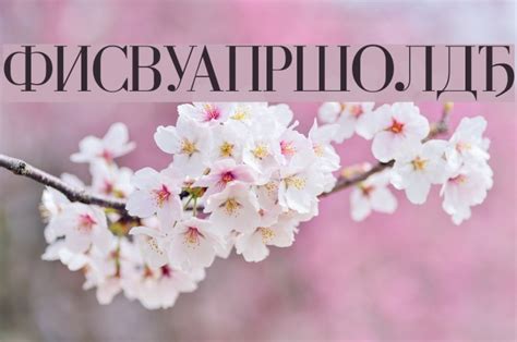 Cyrillic Font