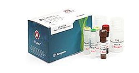 Seegene Introduces Anyplex Plus Mtbntmdr Tb Real Time Test A One