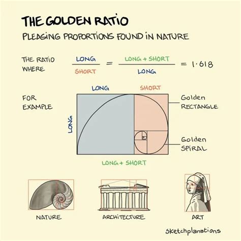 The Golden Ratio Sketchplanations Golden Ratio Golden Ratio Art Golden Ratio In Design