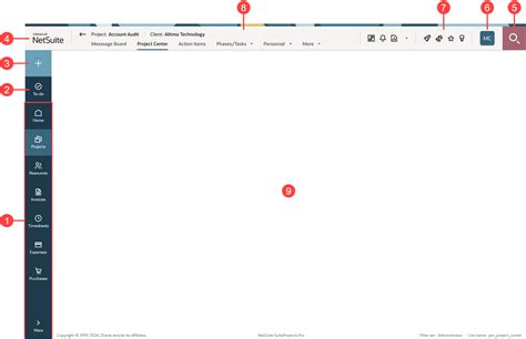 Netsuite Applications Suite Navigating Suiteprojects Pro