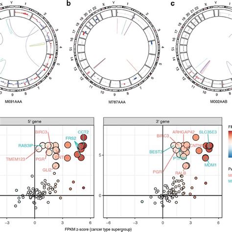 Underlying Svs Distinguish Tumor Specific Fusions From Healthy Chimera Download Scientific
