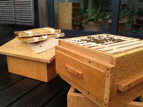 Saving Bees In Open Source Interview To Tristan Copley Smith And Open Source Beehives Project