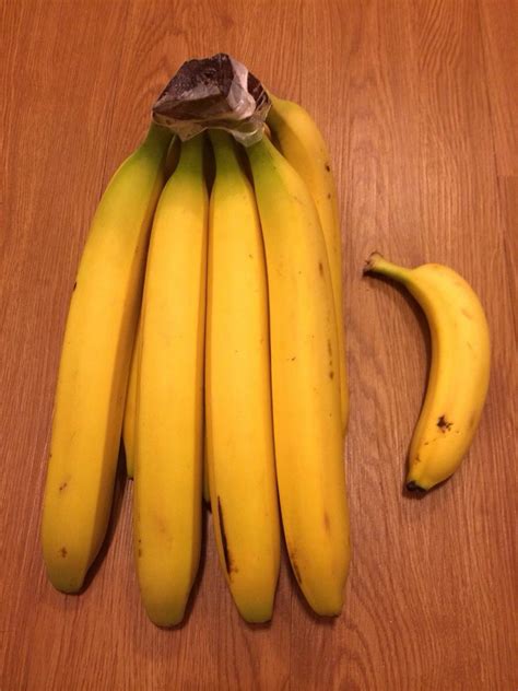 Bananas Banana For Scale Album On Imgur