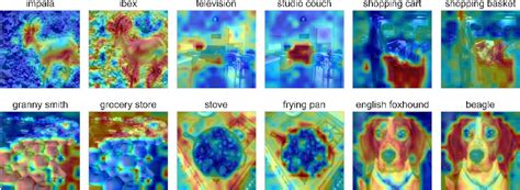 figure 24 from analyzing vision transformers for image classification