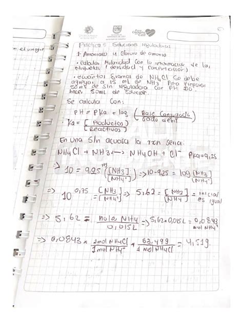 Diagrama De Flujo De Práctica Buffer Pdf