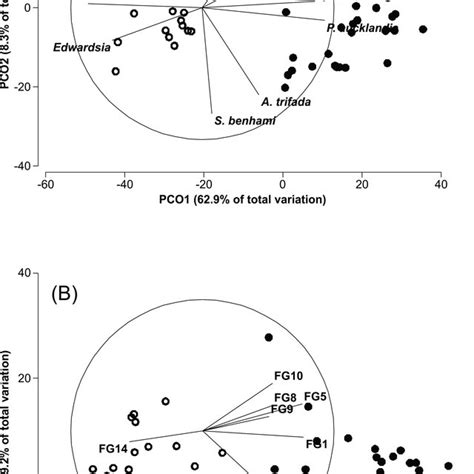 Results Of A Pco Analysis Of A Species Composition And B Functional Download Scientific