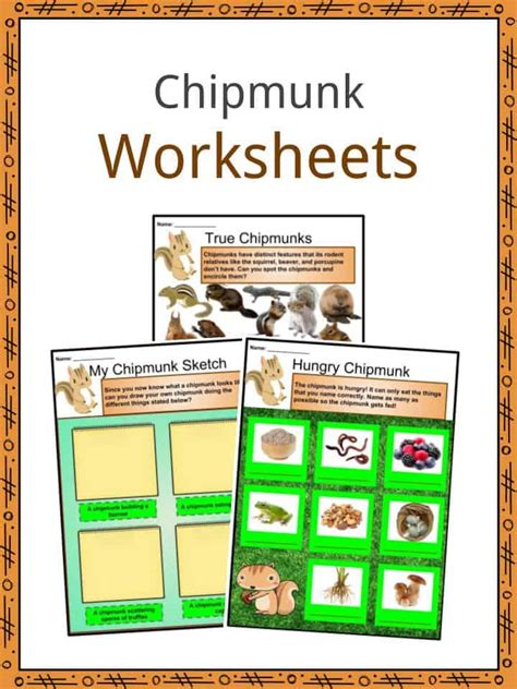 Chipmunk Facts And Worksheets Diet Species Life Ecology