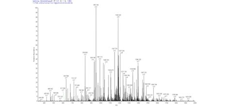 oligonucleotide sequence confirmation novatia llc