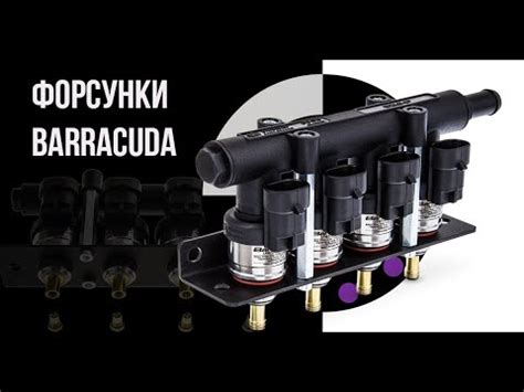 Форсунки BARRACUDA - YouTube