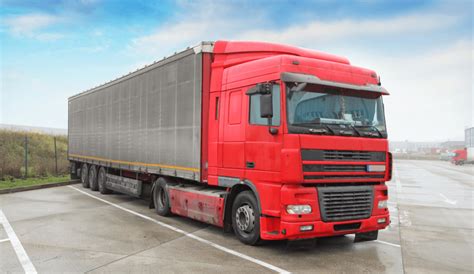 Tipos De Licencias De Conducir Control De Combustible