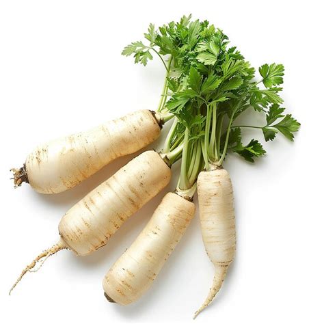 Parsnip Vegetable Isolated On White Background Premium Ai Generated Image